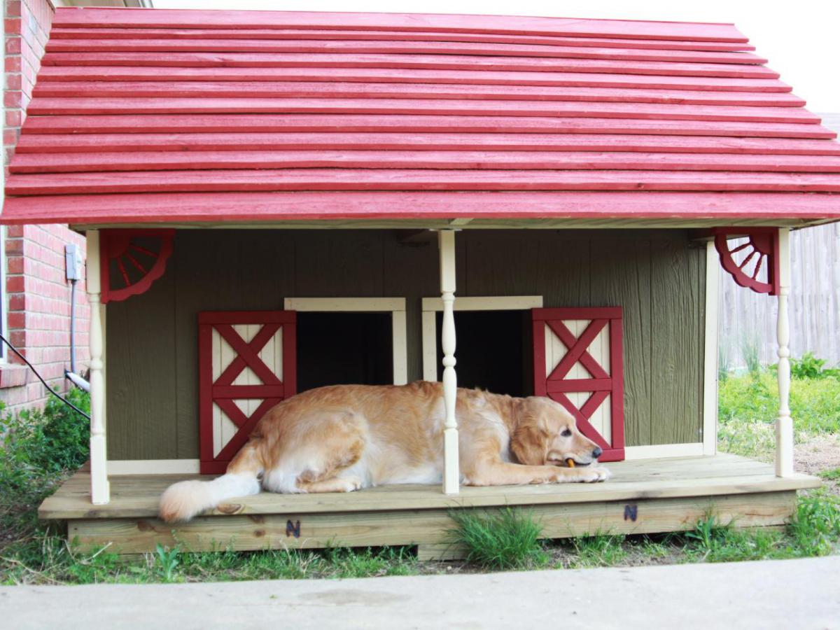 Incredible Ideas for Making Your Home a Pet Heaven - ViewKick