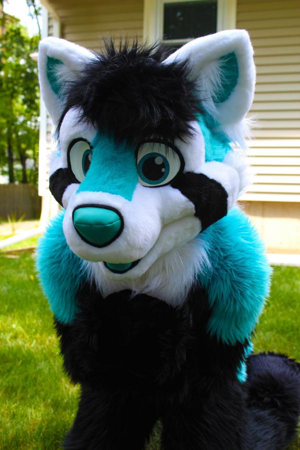 Furry Fandom - ViewKick