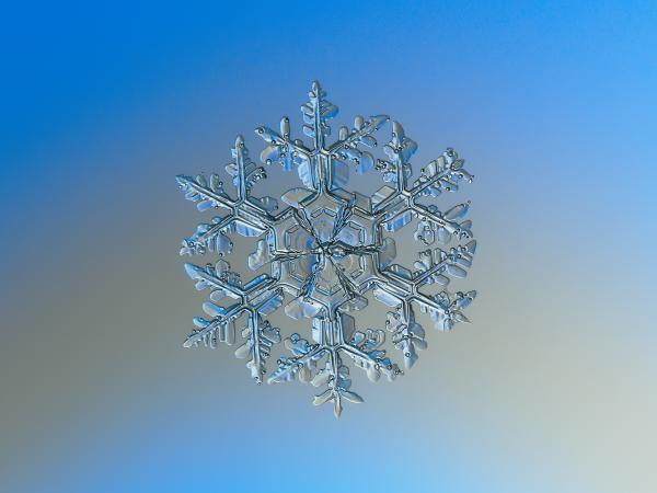 Russian Macro-Photographer Creates Amazing Individual Snowflake Images ...