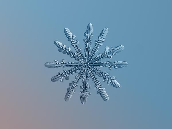 Russian Macro-Photographer Creates Amazing Individual Snowflake Images ...
