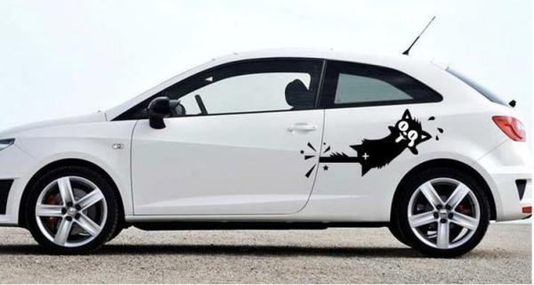 Funny car stickers you will want to copy - ViewKick