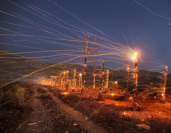 Stuart Palley's Terra Flamma - ViewKick