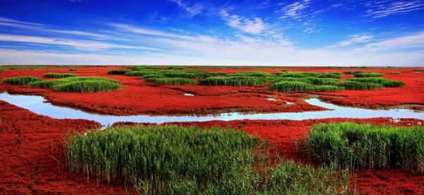 Amazing Red Beach in China - ViewKick