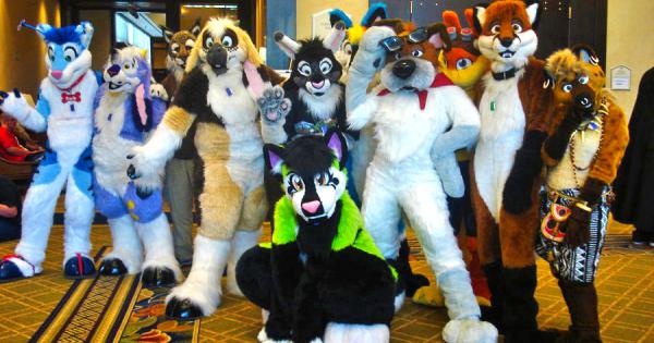 Furry Fandom - ViewKick