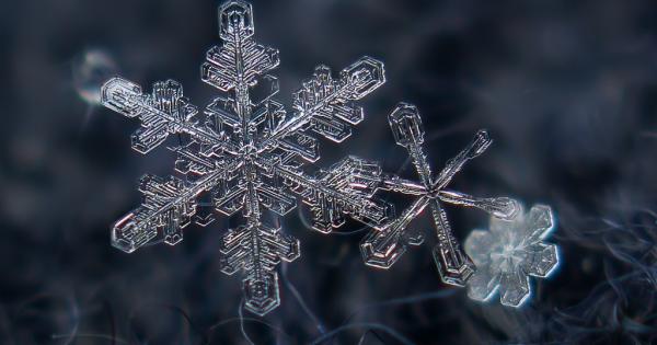 Russian Macro-Photographer Creates Amazing Individual Snowflake Images ...